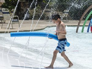 Wildcat Recreation Area | Mountain Vista Rentals